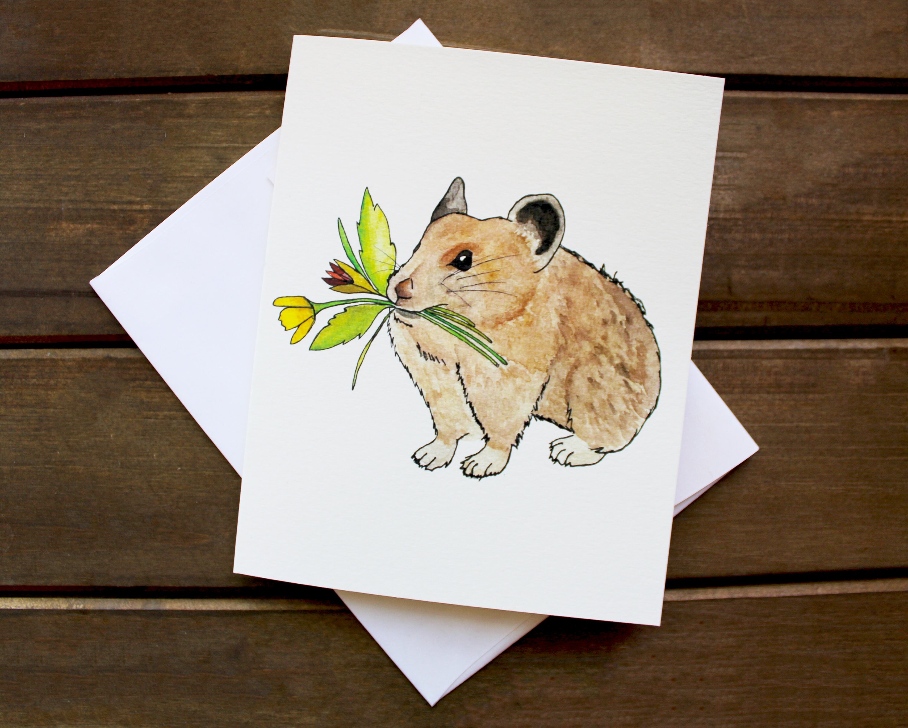 Pika Pal Party Pack -- Set of Three (3) Eco-friendly American Pika ...