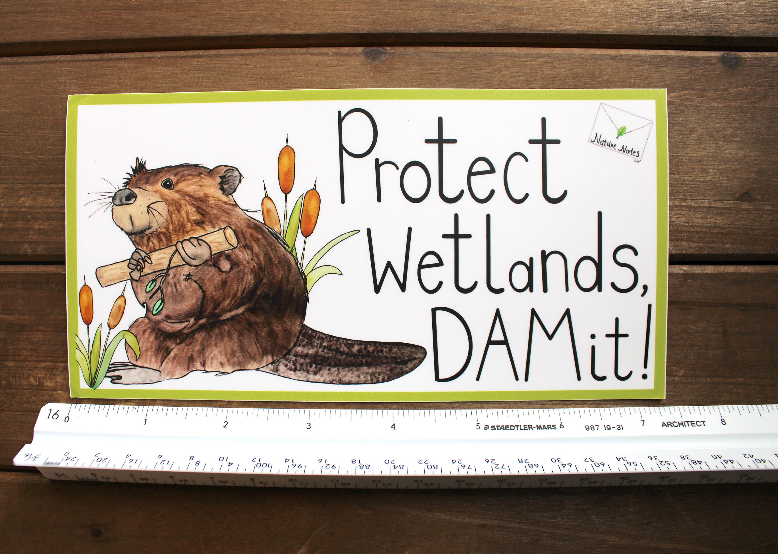 Protect Wetlands, Damit! -- Beaver Bumper Sticker - Etsy