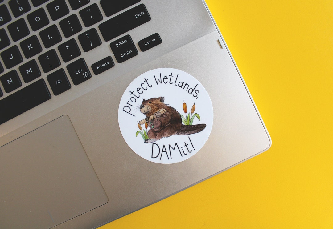 Protect Wetlands, Damit! -- Circle Vinyl Beaver Sticker - Etsy