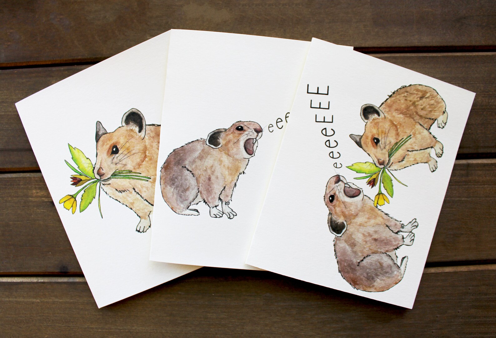 Pika Pal Party Pack -- Set of Three (3) Eco-friendly American Pika ...
