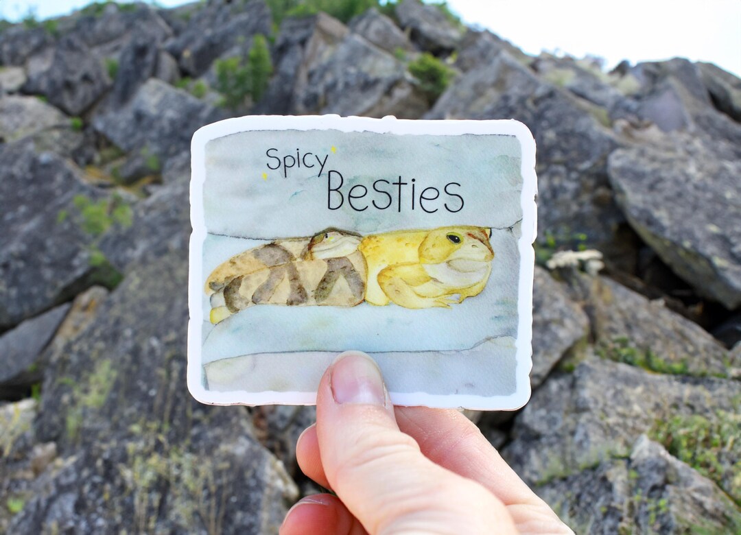 Spicy Besties -- Medium Snake and Toad Sticker - Etsy