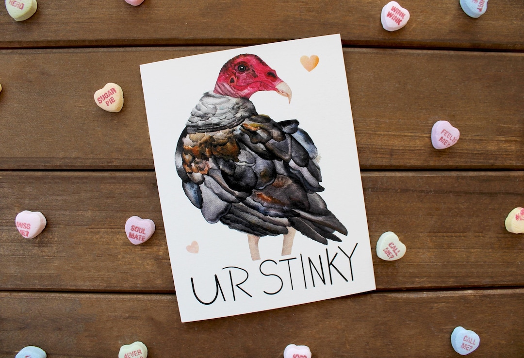 UR STINKY - Turkey Vulture Watercolor Homemade Valentine Card - Etsy