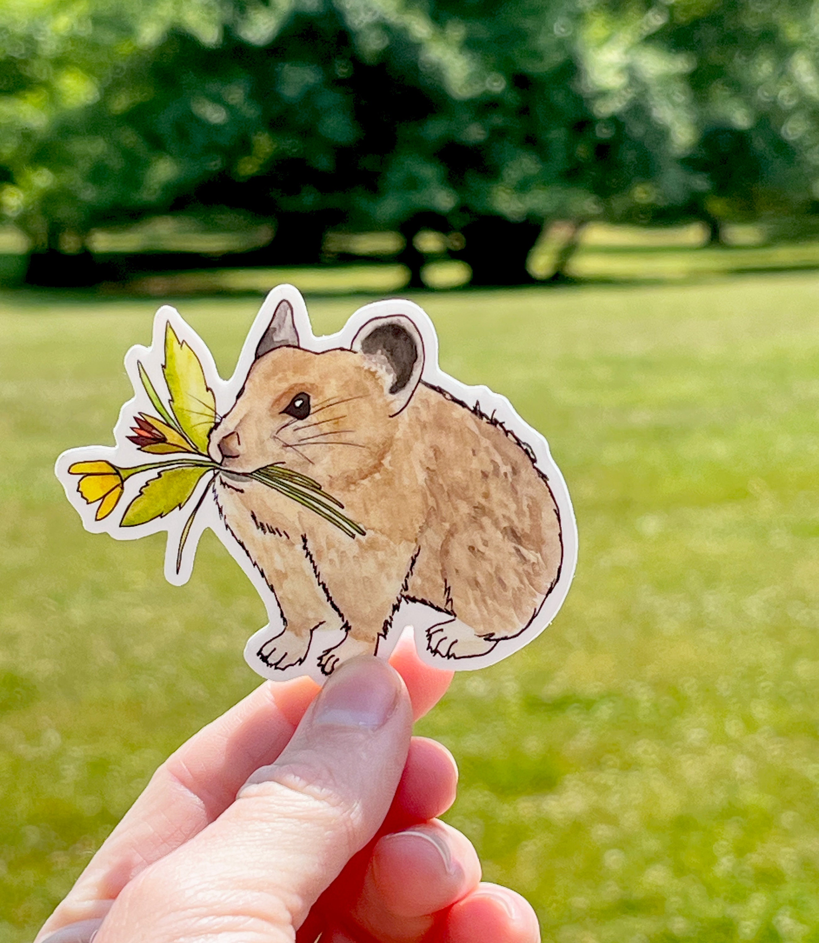 Pika Boquete Small Cute Sticker American Pika Flowers - Etsy