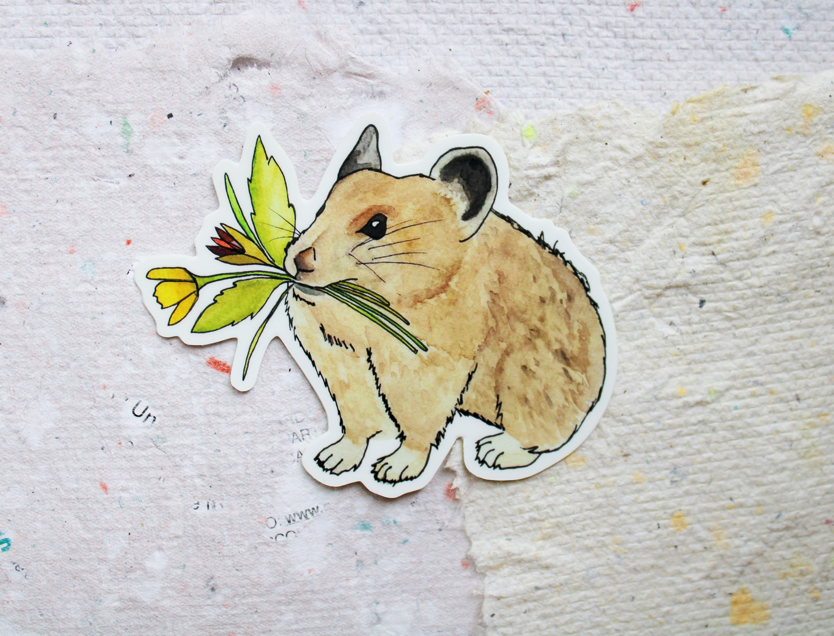 Pika Boquete Small Cute Sticker American Pika Flowers - Etsy