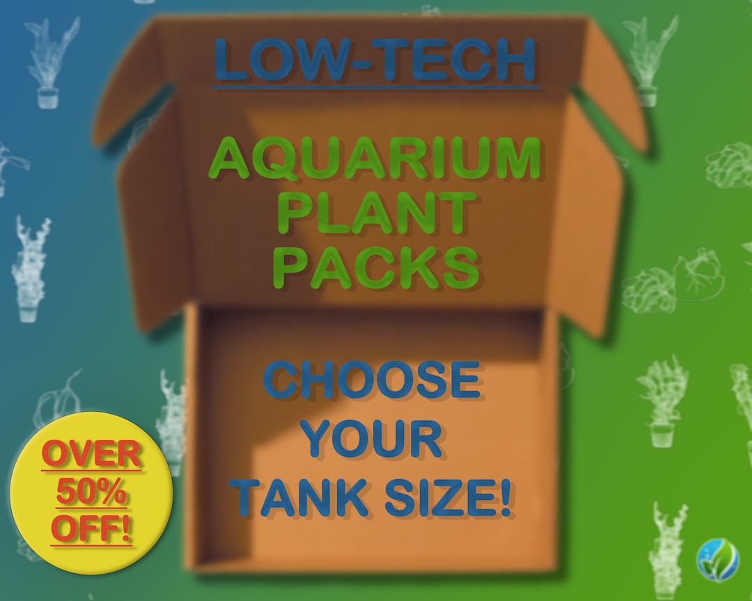 LOW-TECH Aquarium Plant Packs - 5g, 10g, 20g -live Aquarium Plant Packs ...