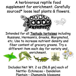 Testudo Munch, Organic Diet Items for Your Greek, Russian, Hermann's ...