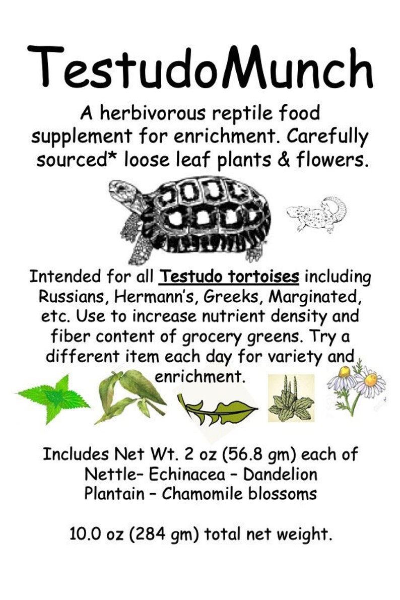 Testudo Munch, Organic Diet Items for Your Greek, Russian, Hermann's ...
