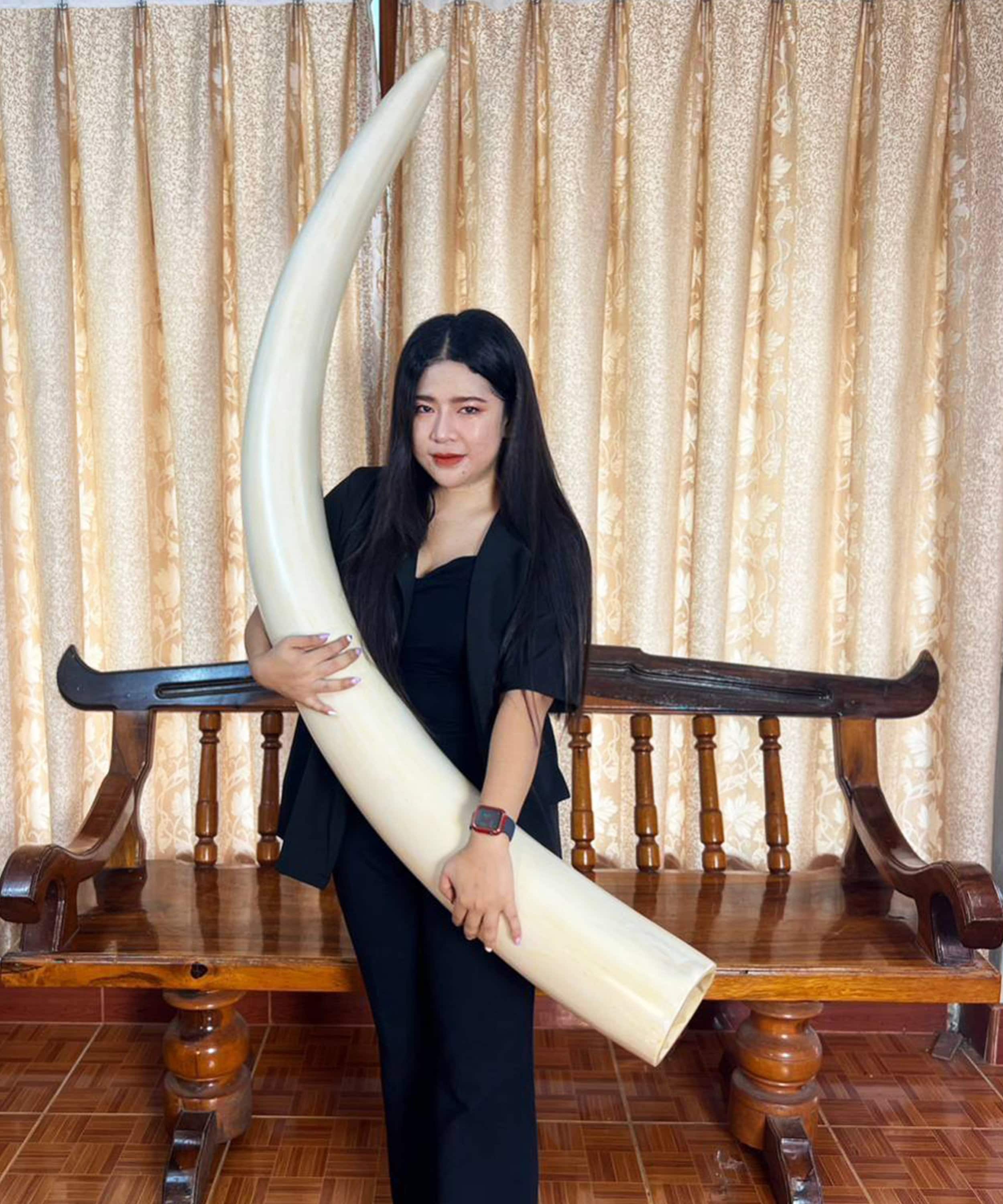 Large Faux Ivory Tusk, Resin Elephant Sculpture, Temple Altar Decor - Etsy
