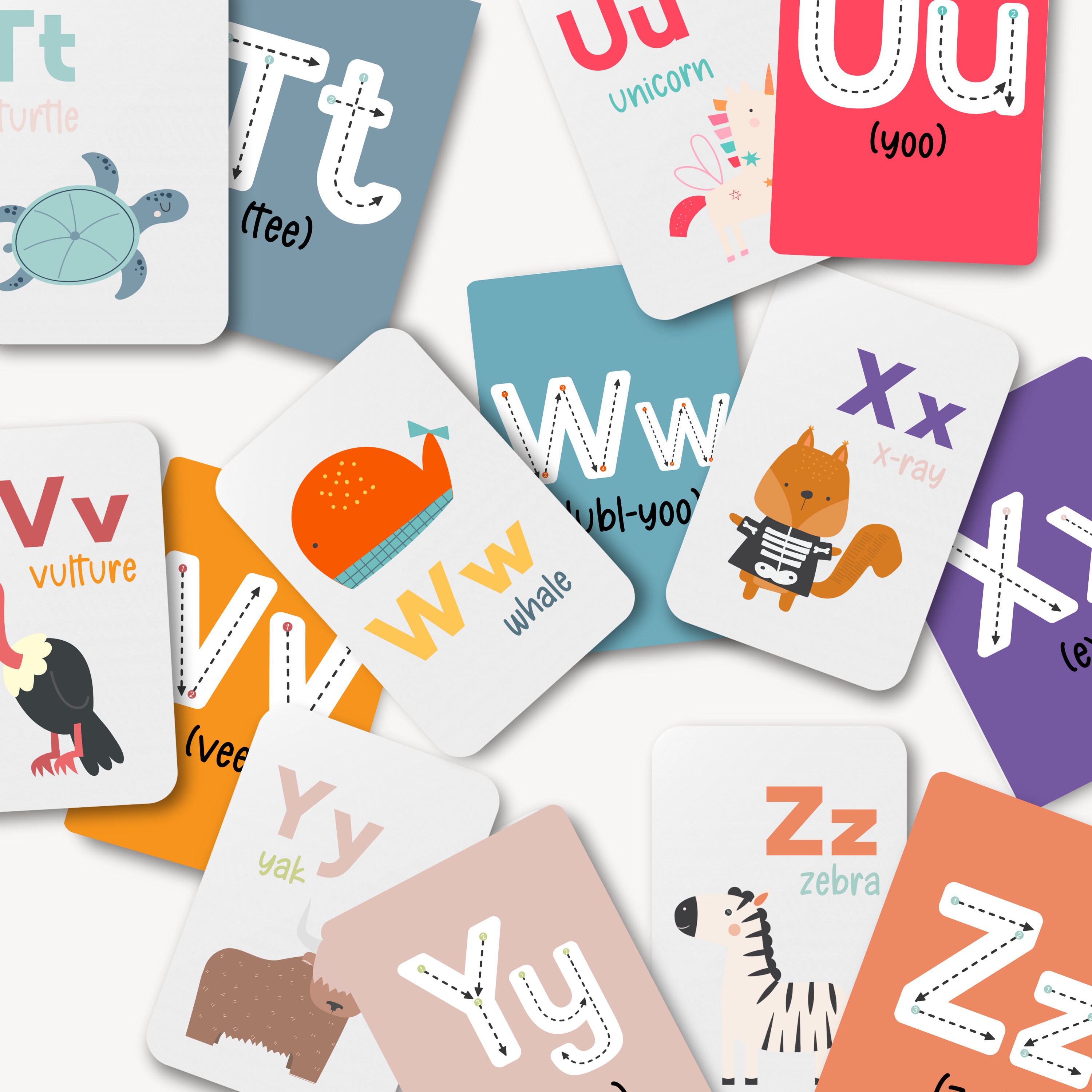 Animal Alphabet Flash Cards ABC Cards Educational Letter - Etsy