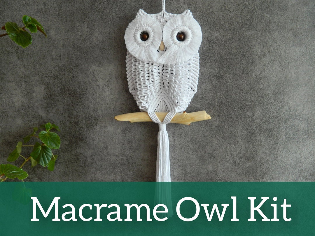 Beginner Macrame Kit, Owl Wall Hanging, Adult Craft Set, Do It Yourself ...