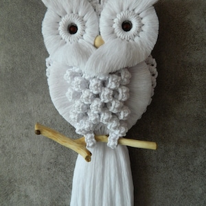 Macrame Owl Kit, Beginner Friendly Wall Hanging Craft Kit for Adults ...