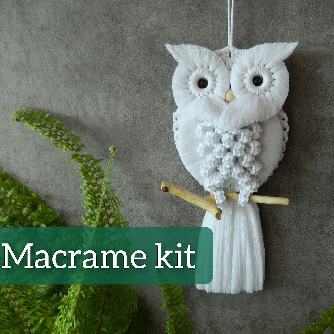 Macrame Owl Kit, Beginner Friendly Wall Hanging Craft Kit for Adults ...