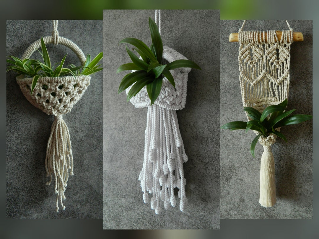 TUTORIAL for Beginners, Easy Simple Set of 3 Air Plant Holder Patterns ...