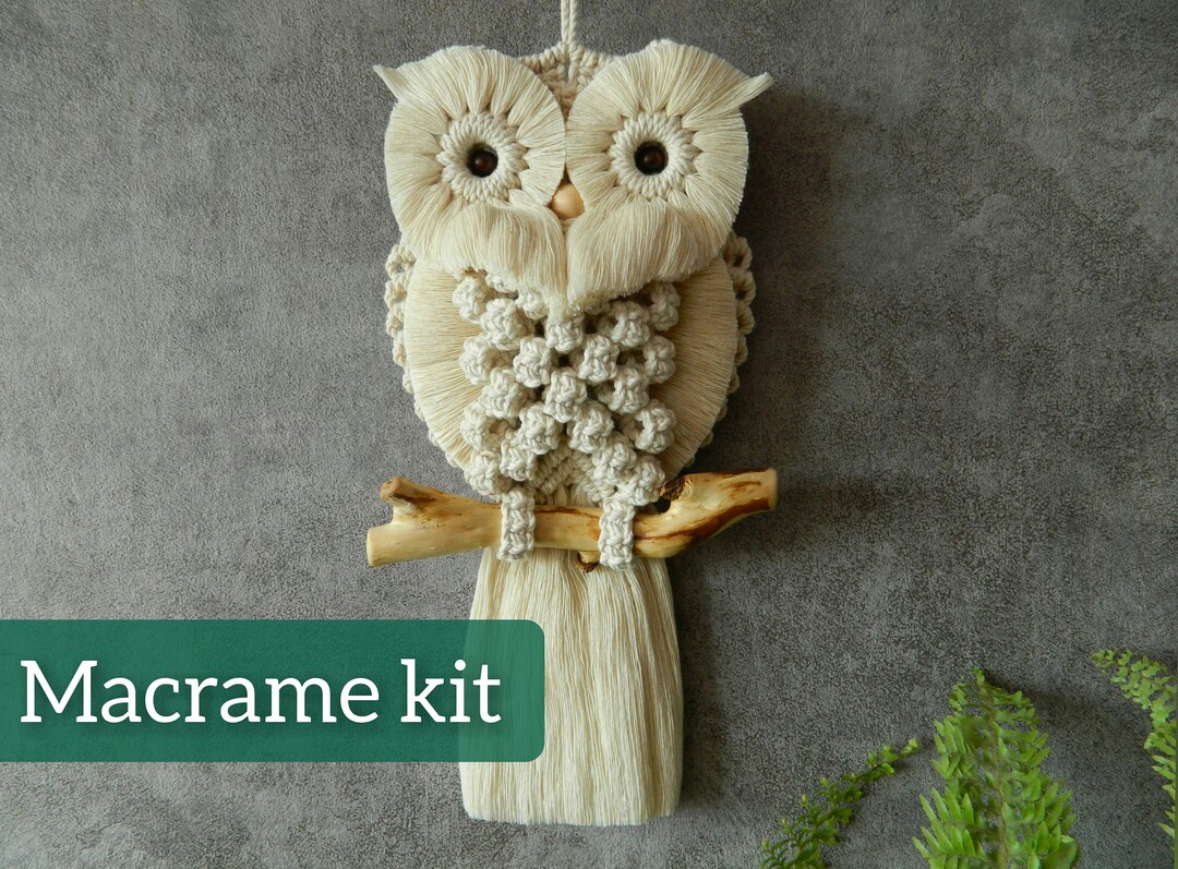 Do It Yourself Macrame Owl Kit, Beginner-friendly Macrame Wall Hanging ...