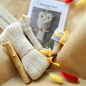 Macrame Owl Kit, Beginner Friendly Wall Hanging Craft Kit for Adults ...