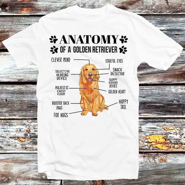 Golden Retriever Anatomy Shirt - Etsy