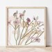 Anchovy, Fine Art Print by E. Christine- Modern Art - Etsy