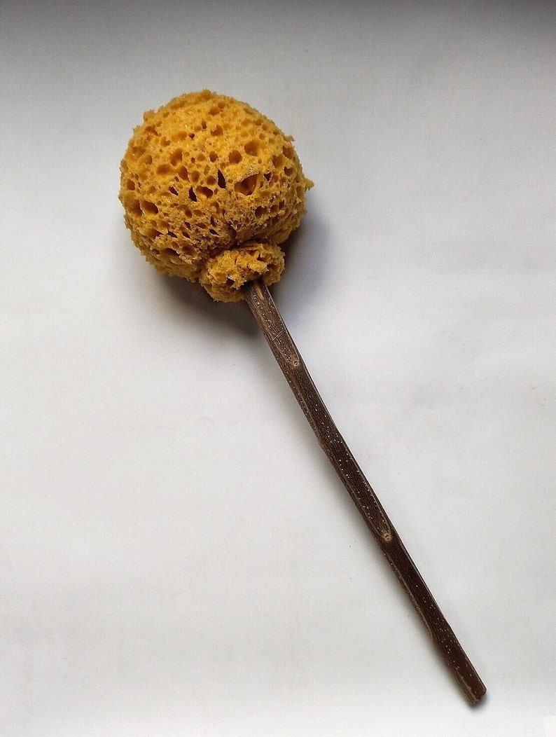 Xylospongium Tersorium Spongia Recreación Histórica - Etsy UK
