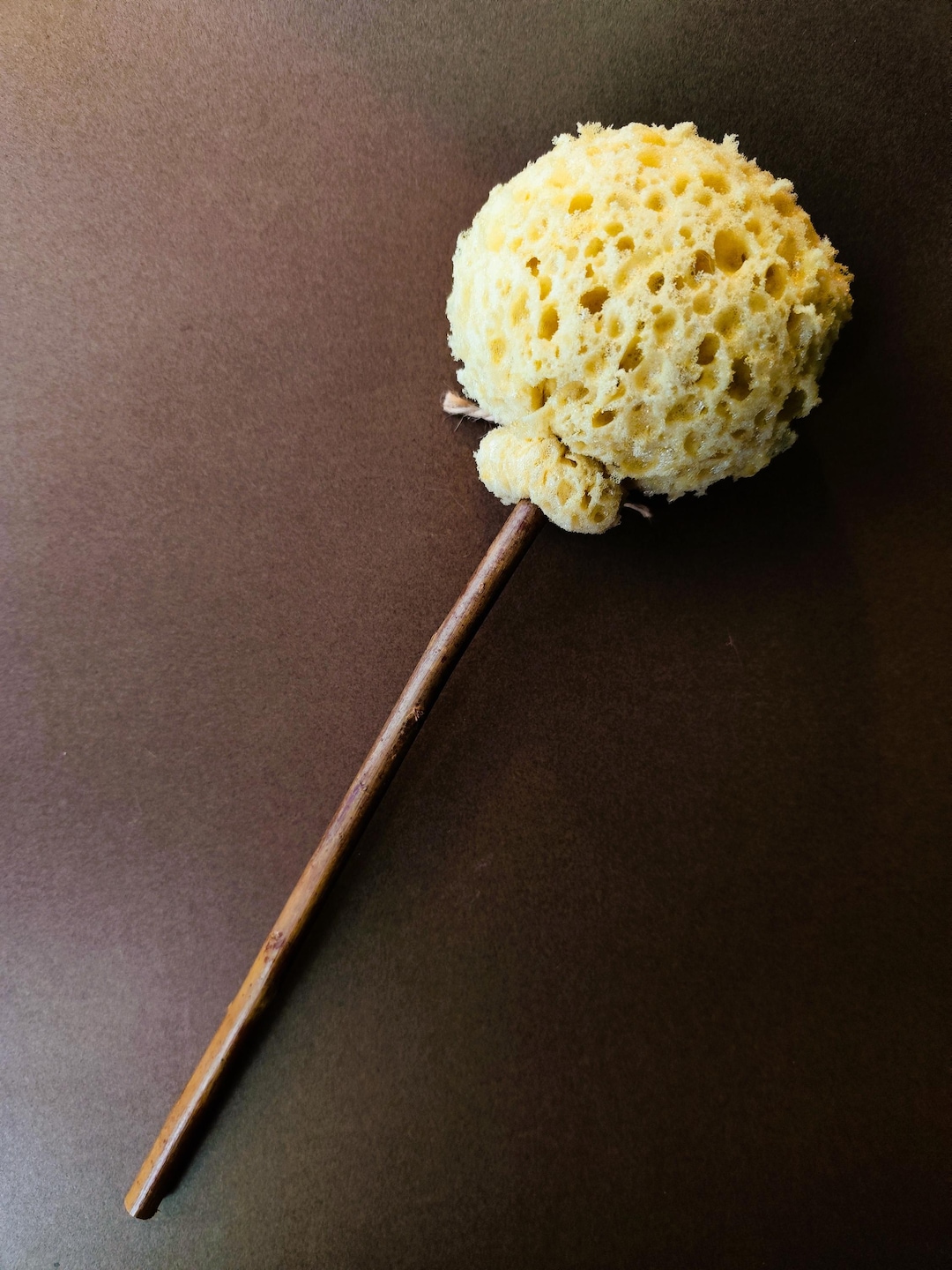 Xylospongium, Tersorium, Spongia, Recreación Histórica, Imperio Romano ...