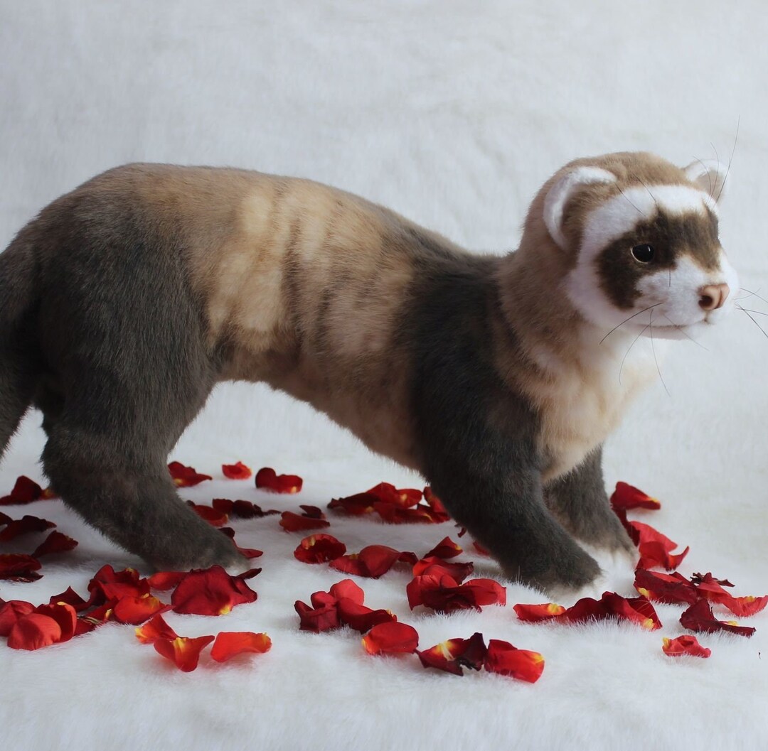 Handmade Hyper Realistic Ferret Stuffed Animal Doll OOAK - Etsy Handmade Hyper Realistic Ferret Stuffed Animal Doll OOAK - Etsy