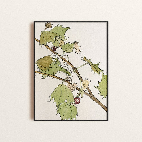 Sycamore Tree - Etsy