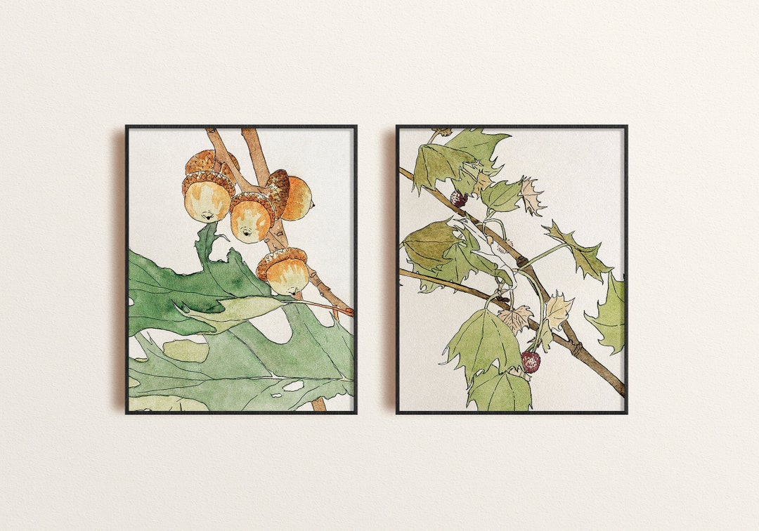 Vintage Maple and Oak Leaves Print Set: Botanical Autumn Decor - Etsy