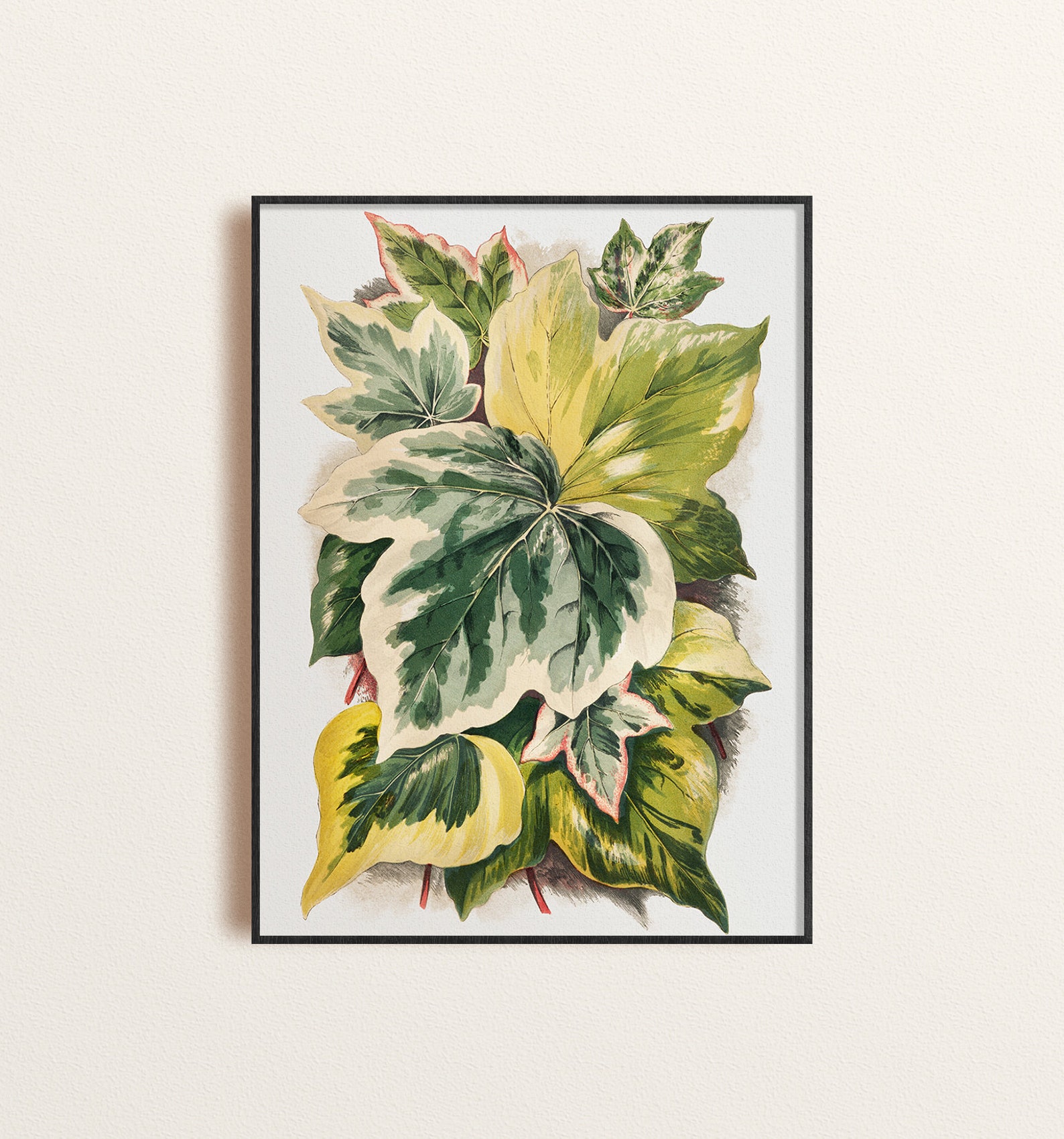 Vintage Ivy Leaves Wall Decor Botanical Art Print Green Wall | Etsy