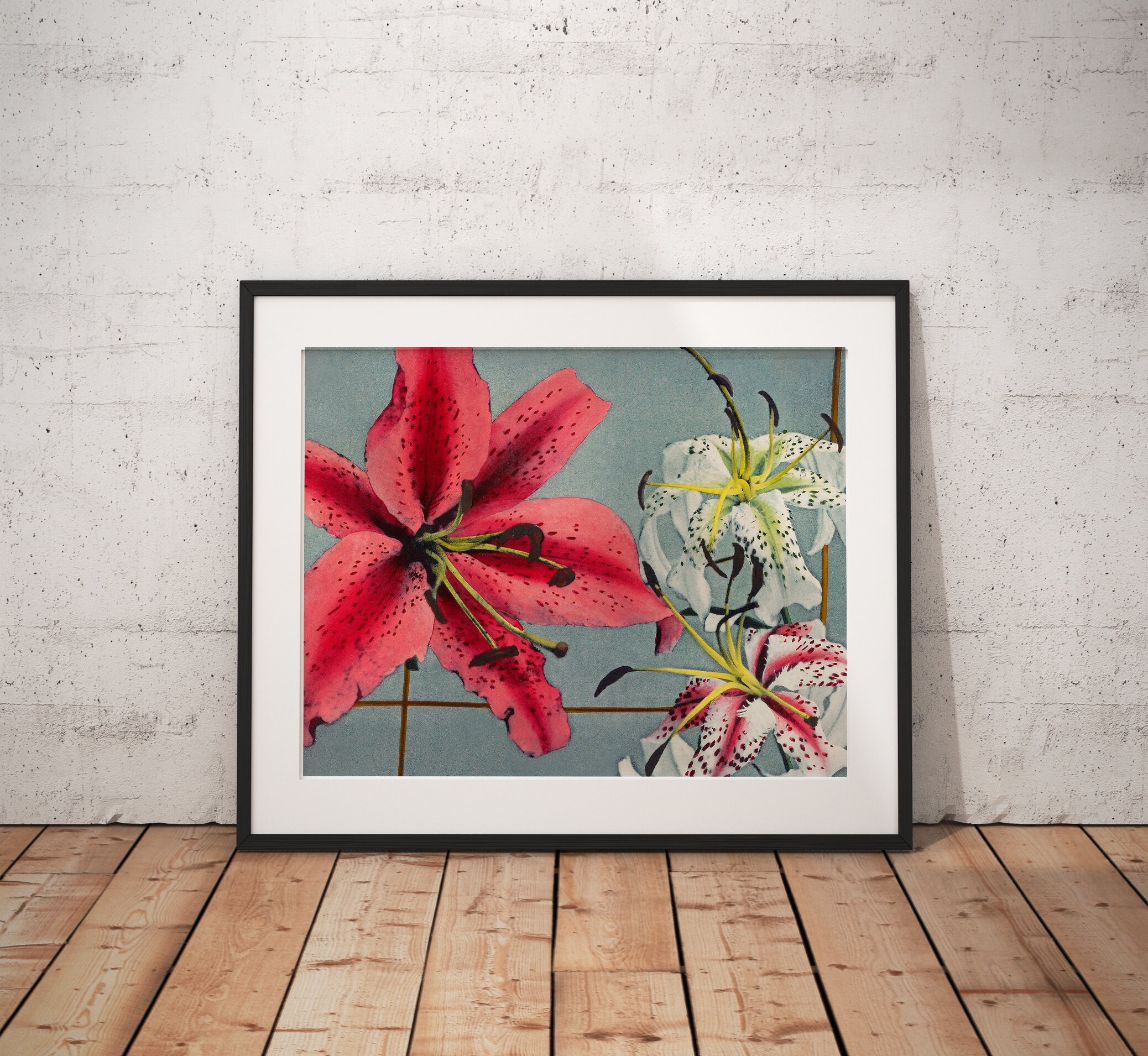 Set of Three Stargazer Lily Poster Set - Etsy