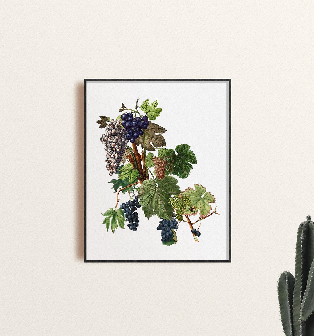 Grapes Illustration Wall Decor, Vintage Grapevine Print , Collaged ...