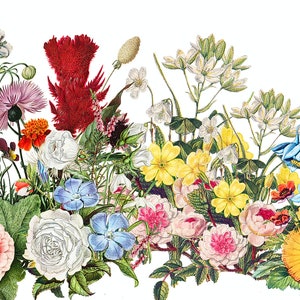 Set of TWO Victorian Era Floral Collage Wall Decor, Matching Posters ...