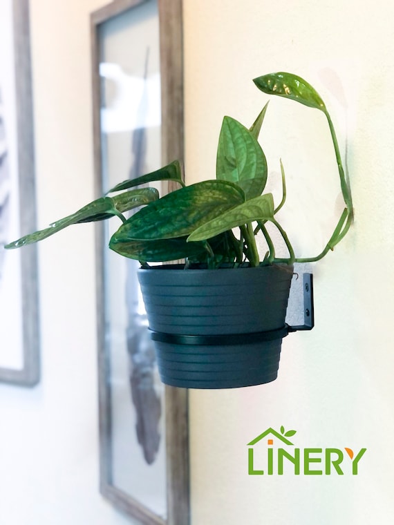 LINERY 4 Pack Matte Black Hanging Plant Pot Stand Flower Plant | Etsy