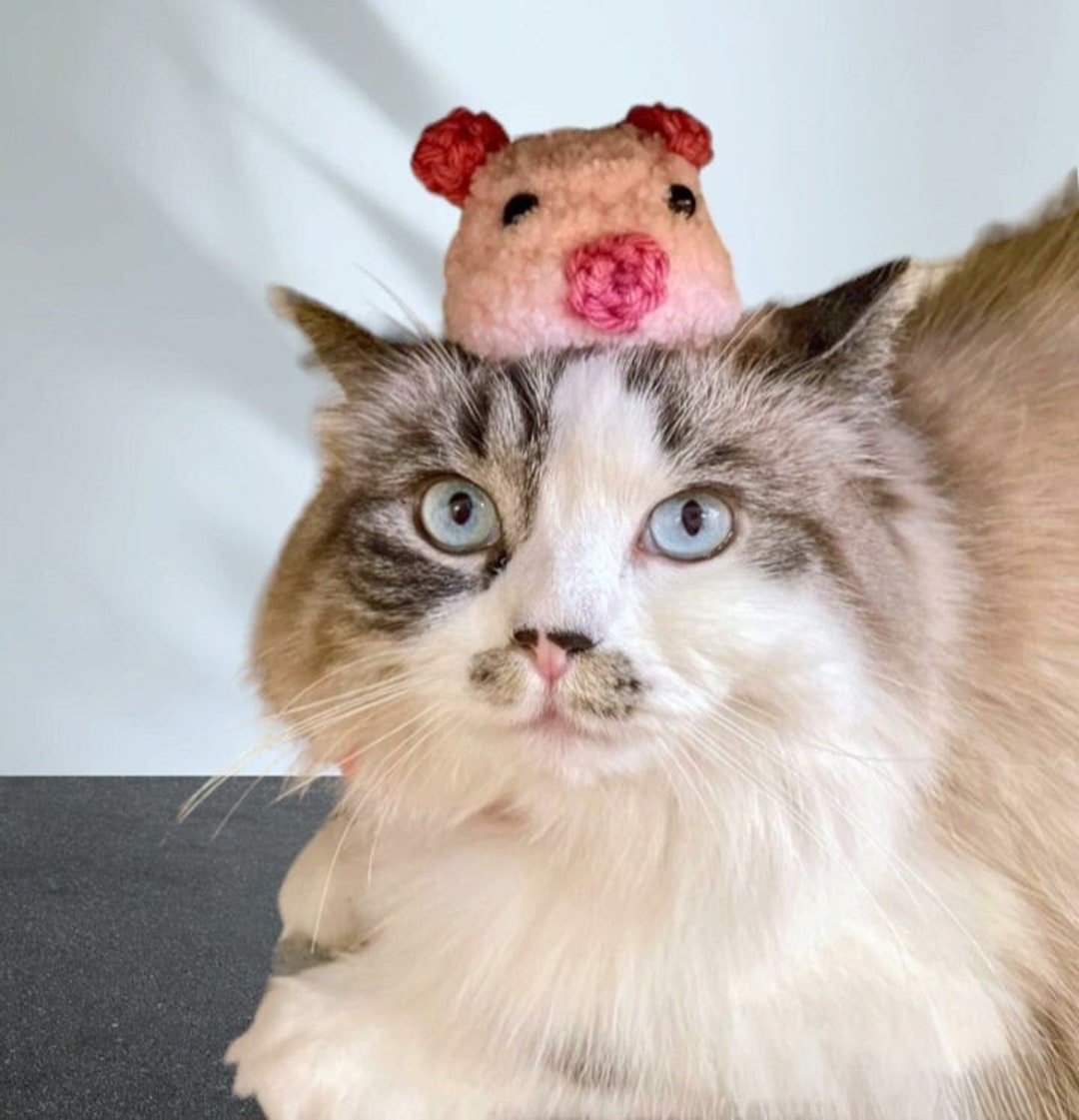 Crochet Pig Hat for Cats and Small Dogs I Handmade Pet Accessories - Etsy
