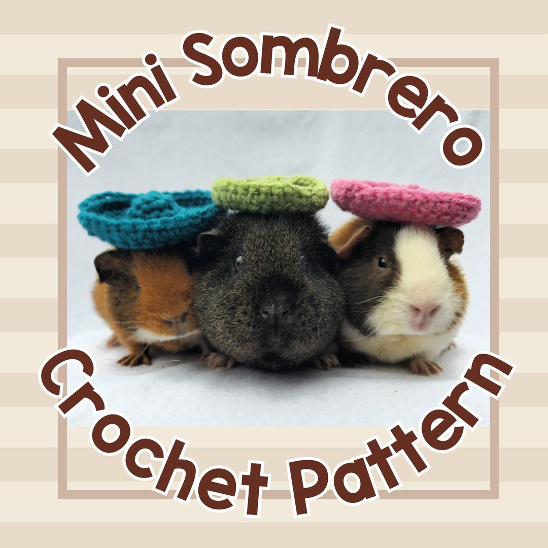 Crochet Guinea Pig Sombrero Pattern: Easy No-sew Beginner Project (PDF ...