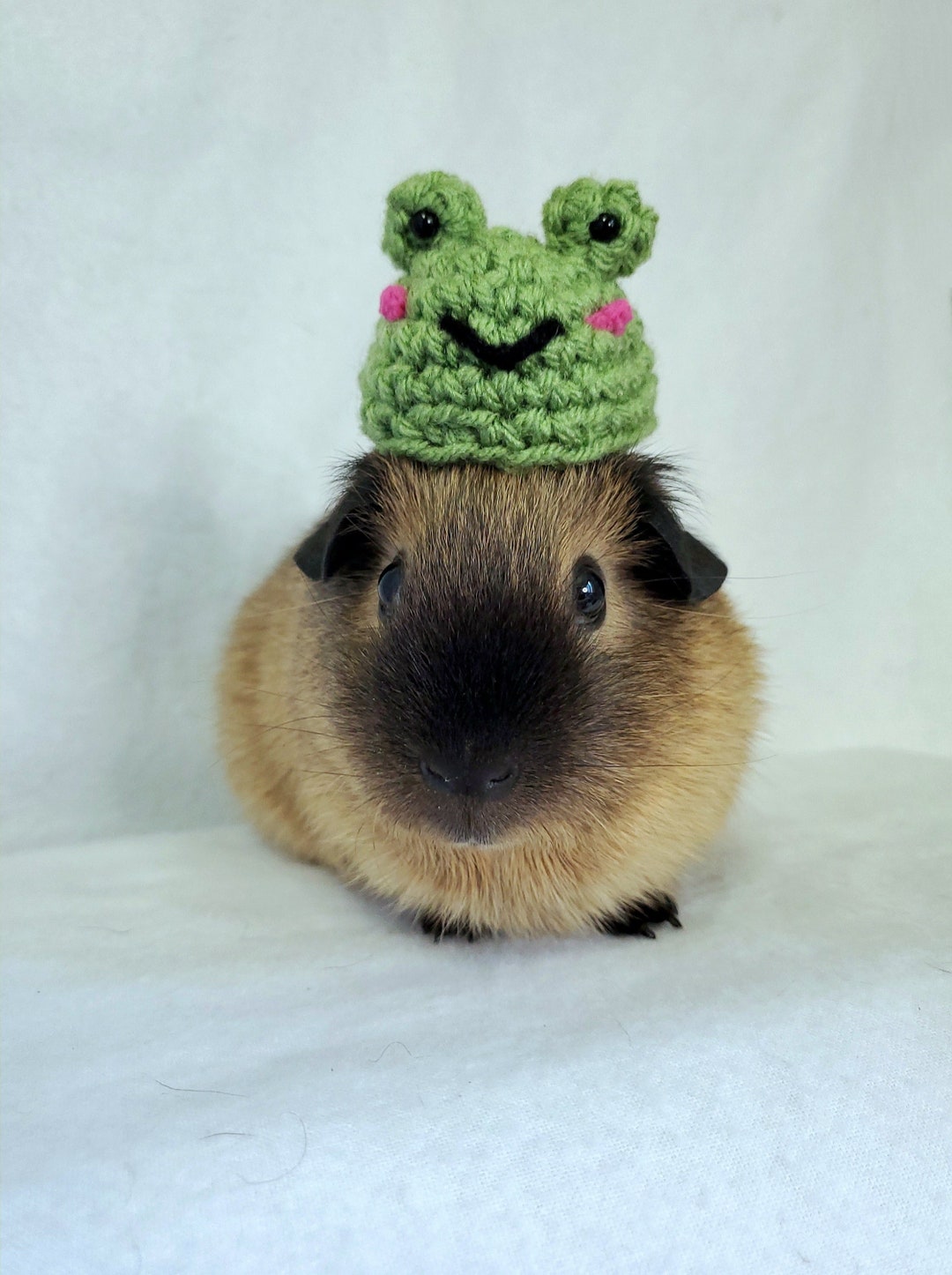 Crochet Frog Hat for Guinea Pigs, Bunnies, Gerbils, Hamsters ...