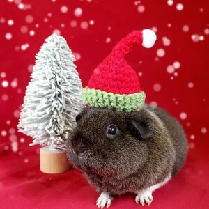 Crochet Elf Hat for Small Pets: Handmade Guinea Pig, Hamster, Cat ...
