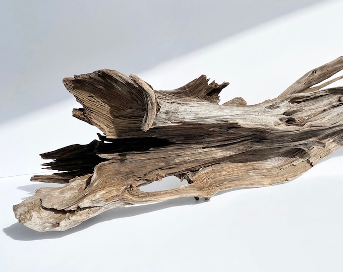 Extra Large Driftwood Garden Wood Decor Large Driftwood - Etsy