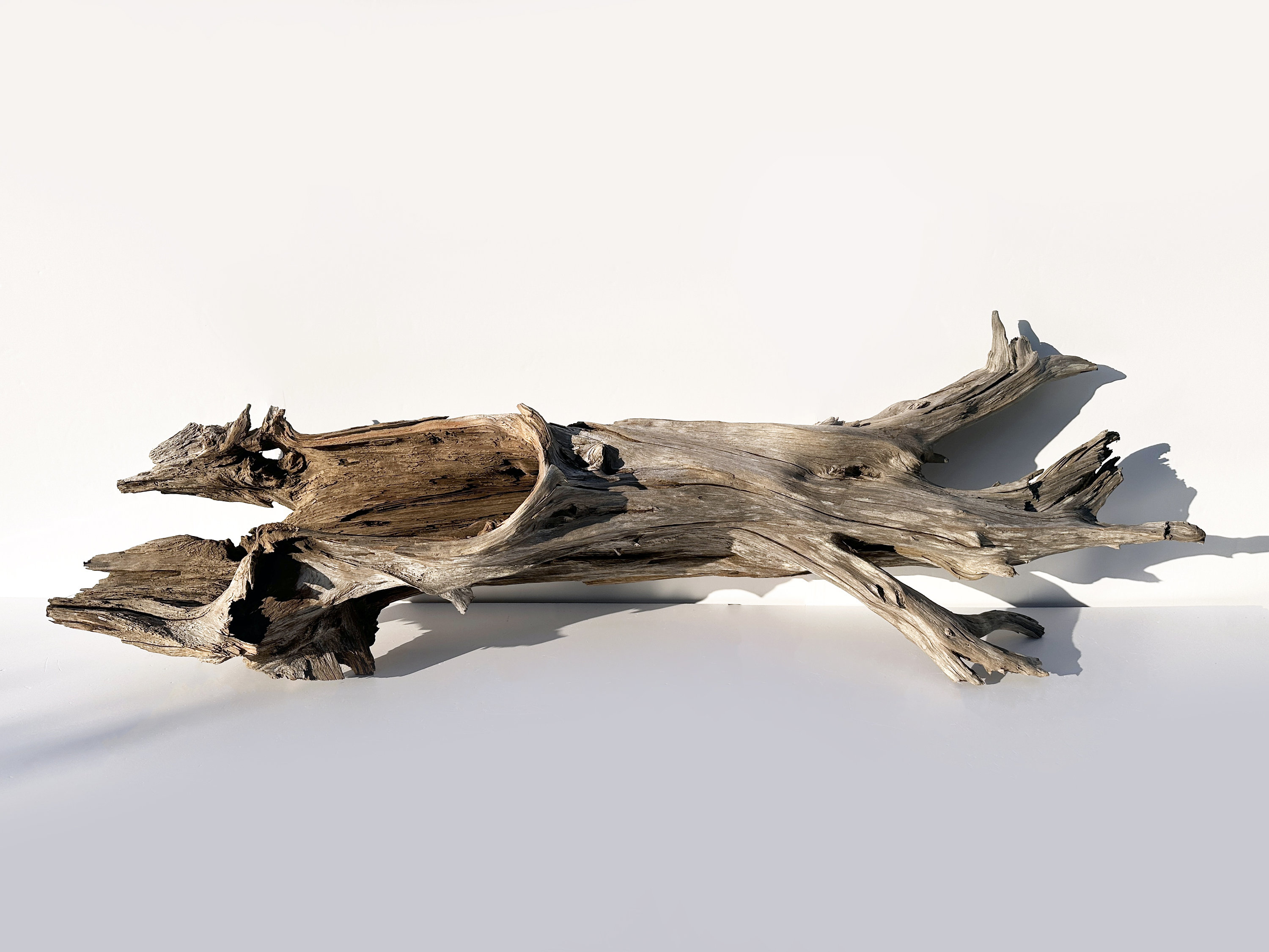 Extra Large Driftwood Sculpture, Wood Terrarium Reptile Hide, Garden ...
