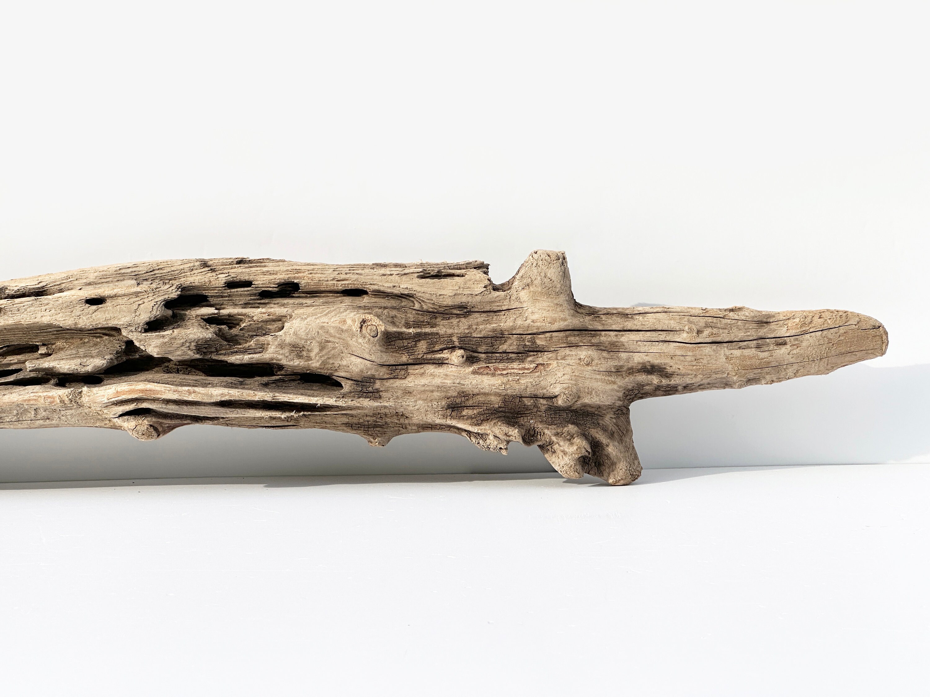 Extra Large Driftwood, Garden Wood Decor, Large Driftwood Sculpture ...