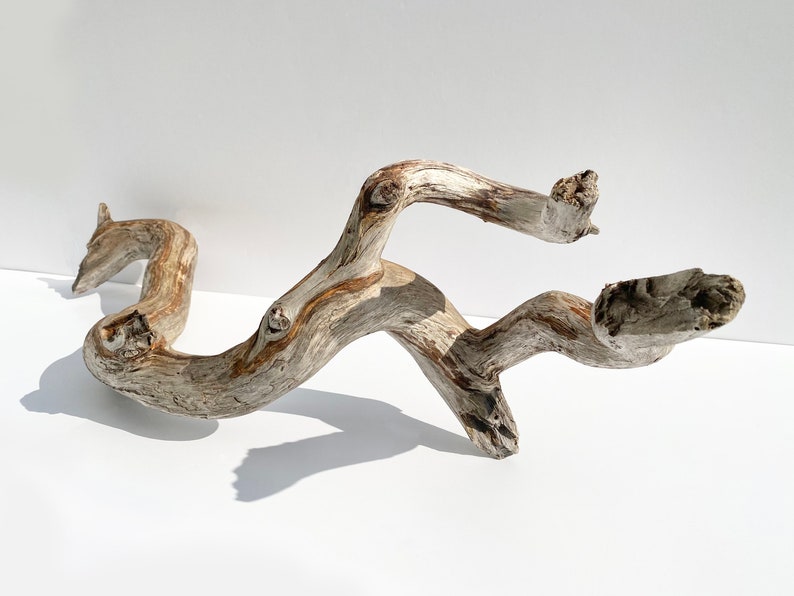 Extra Large Driftwood Pieces Aquarium Driftwood Sculpture - Etsy