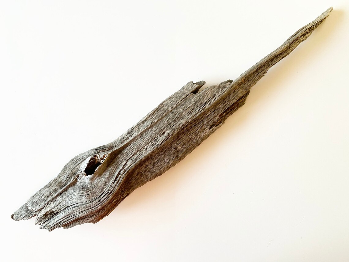 Large Driftwood Piece, Driftwood Sculpture, Aquarium Driftwood ...