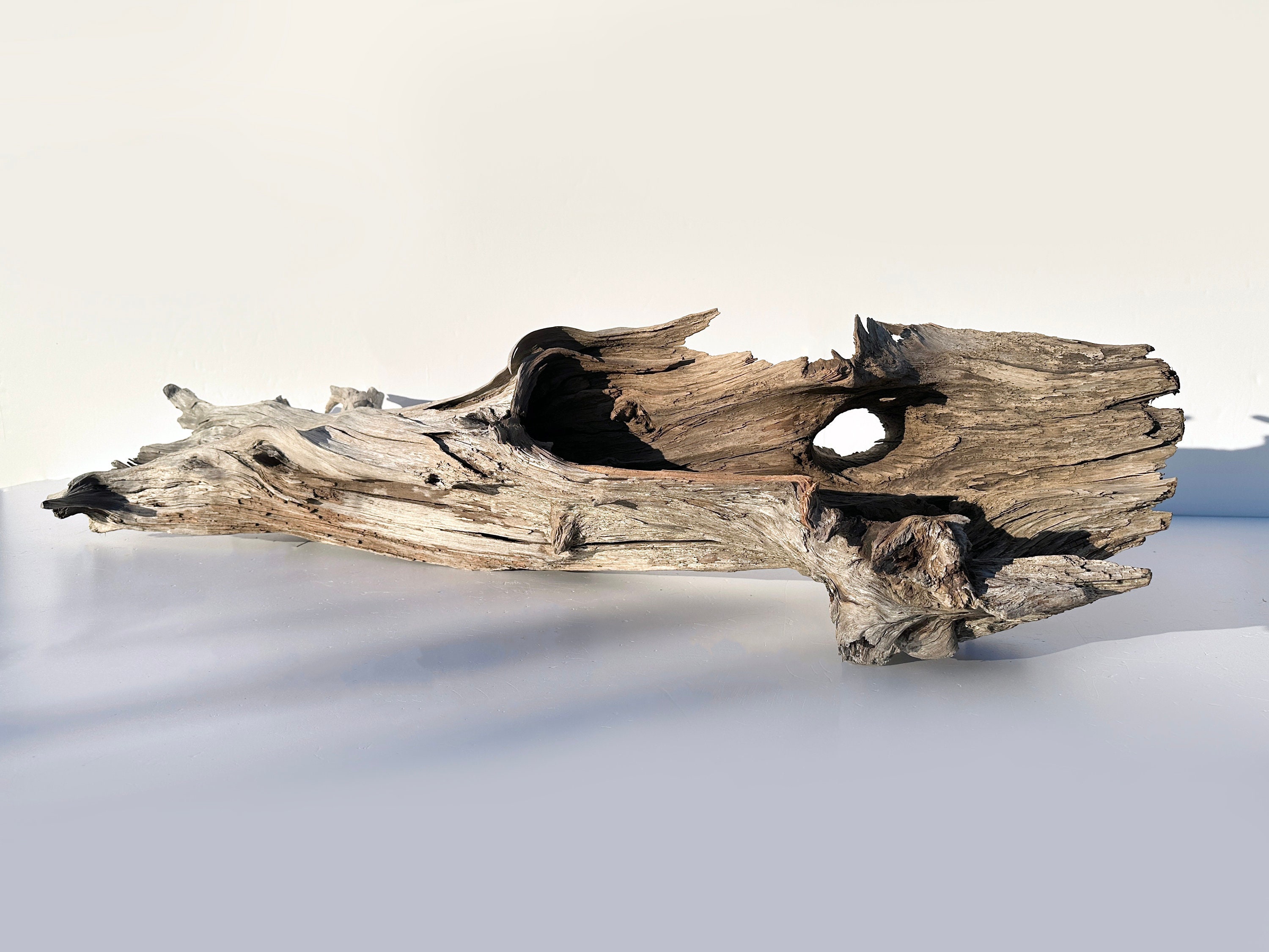 Extra Large Driftwood Sculpture, Wood Terrarium Reptile Hide, Garden ...