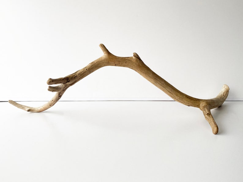 Branches Aquarium Driftwood Sticks, Aquascape Wood Terrarium Reptile ...