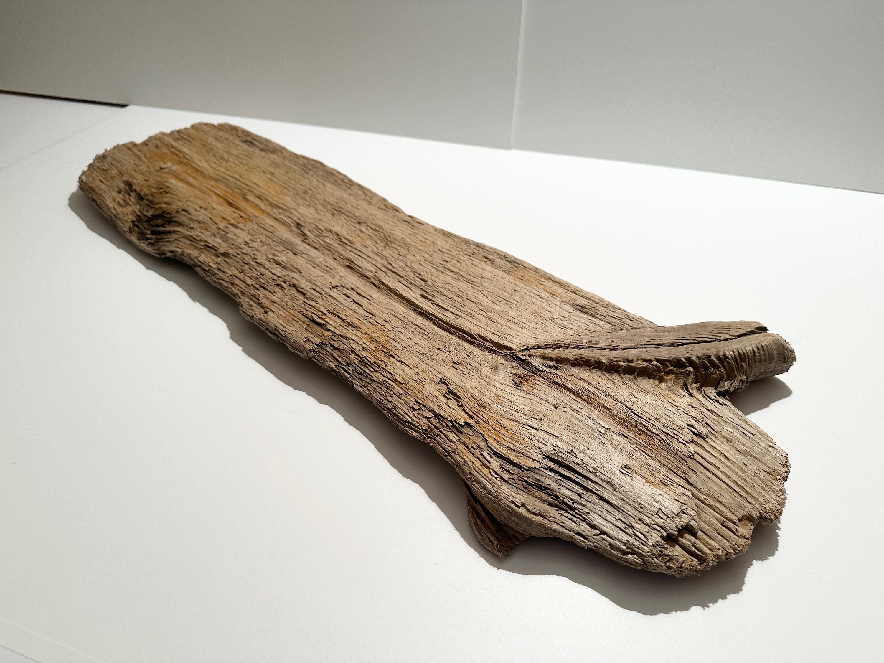 Driftwood Sign, Driftwood Board, Flat Driftwood Piece, Beach Sign ...