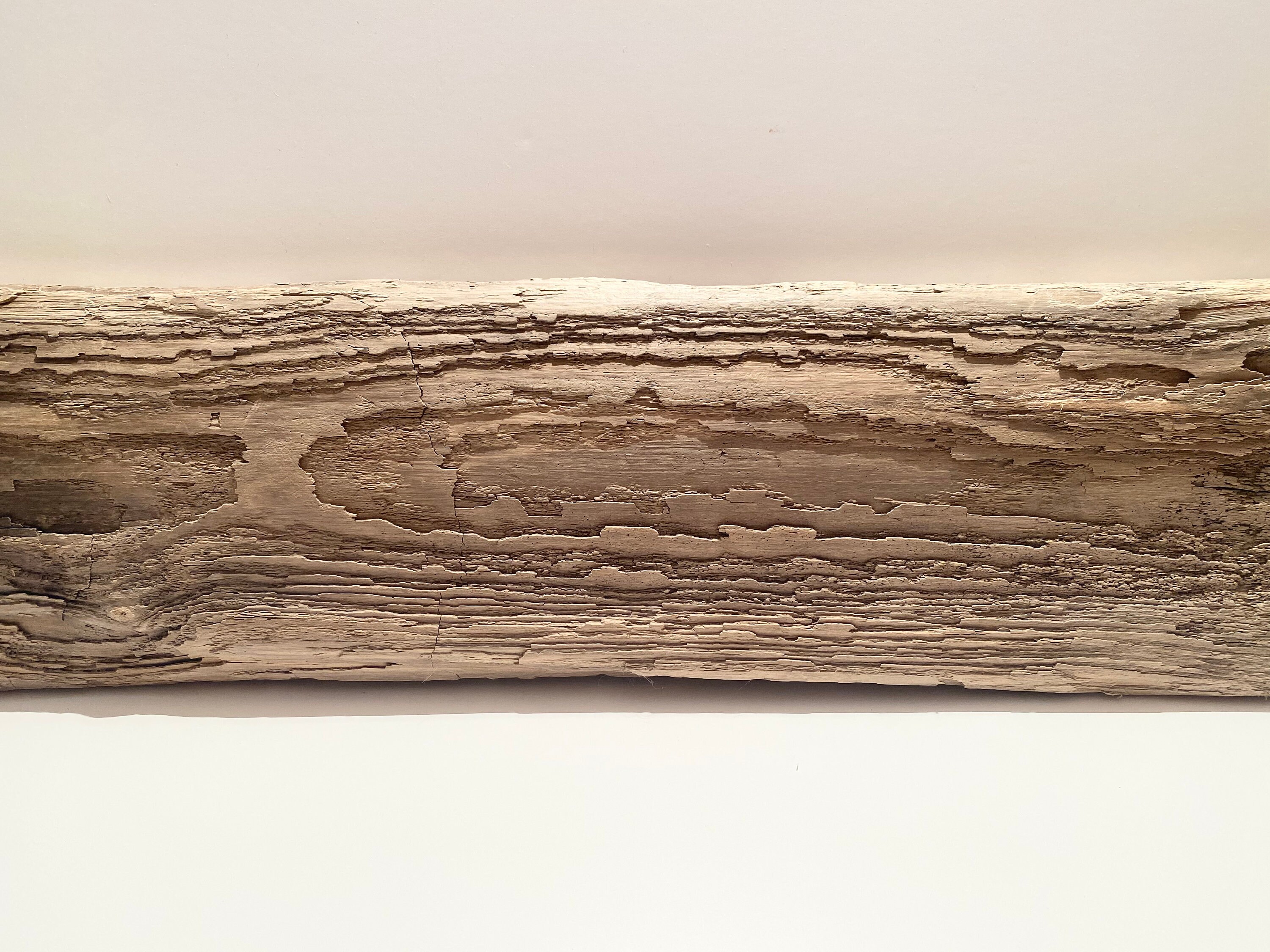 Driftwood Plank, Large Driftwood Sign, Flat Driftwood Boards, Reclaimed ...