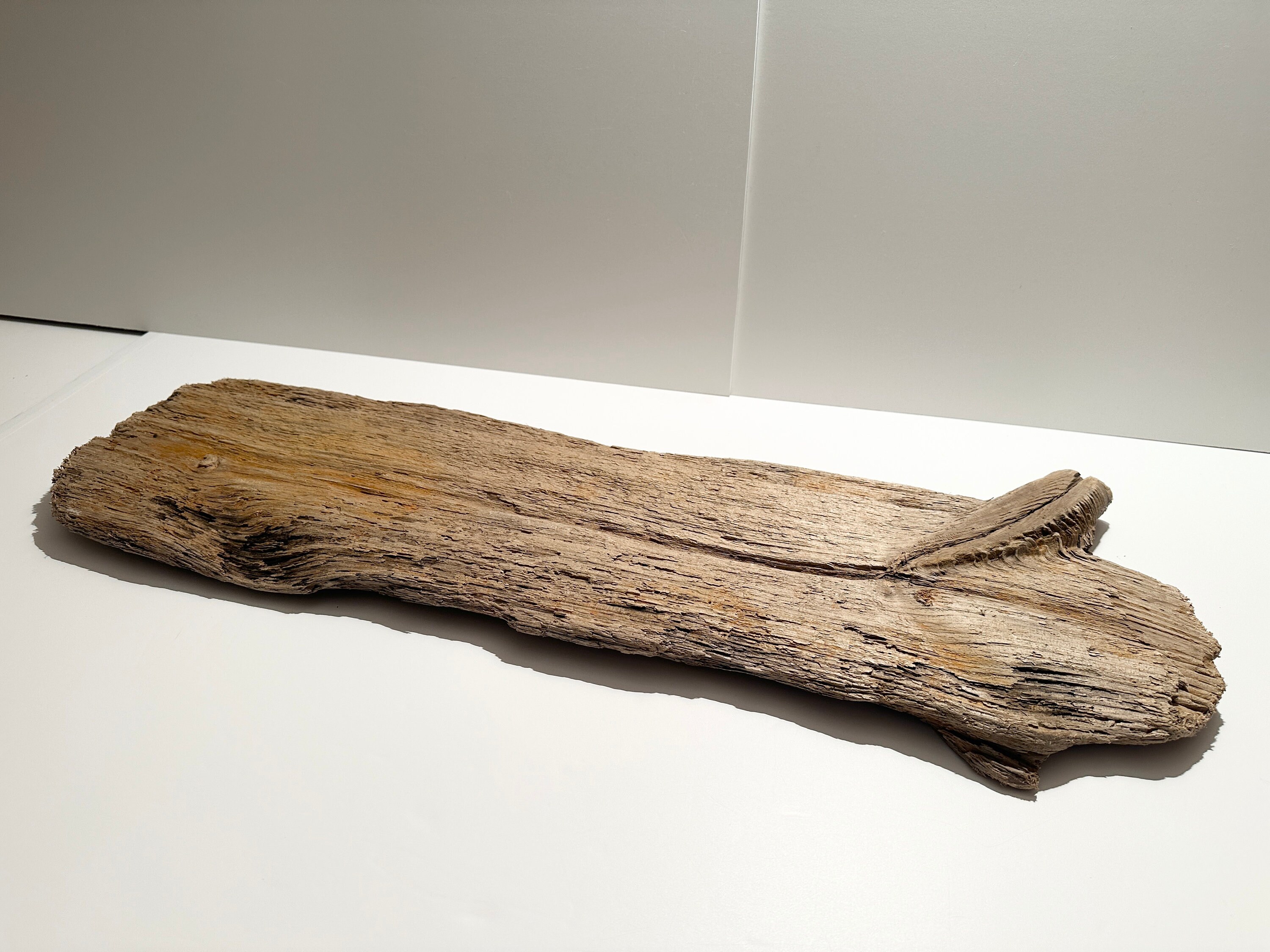 Driftwood Sign, Driftwood Board, Flat Driftwood Piece, Beach Sign ...