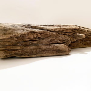 Large Driftwood Sculpture, Extra Large Driftwood Pieces, Aquarium ...