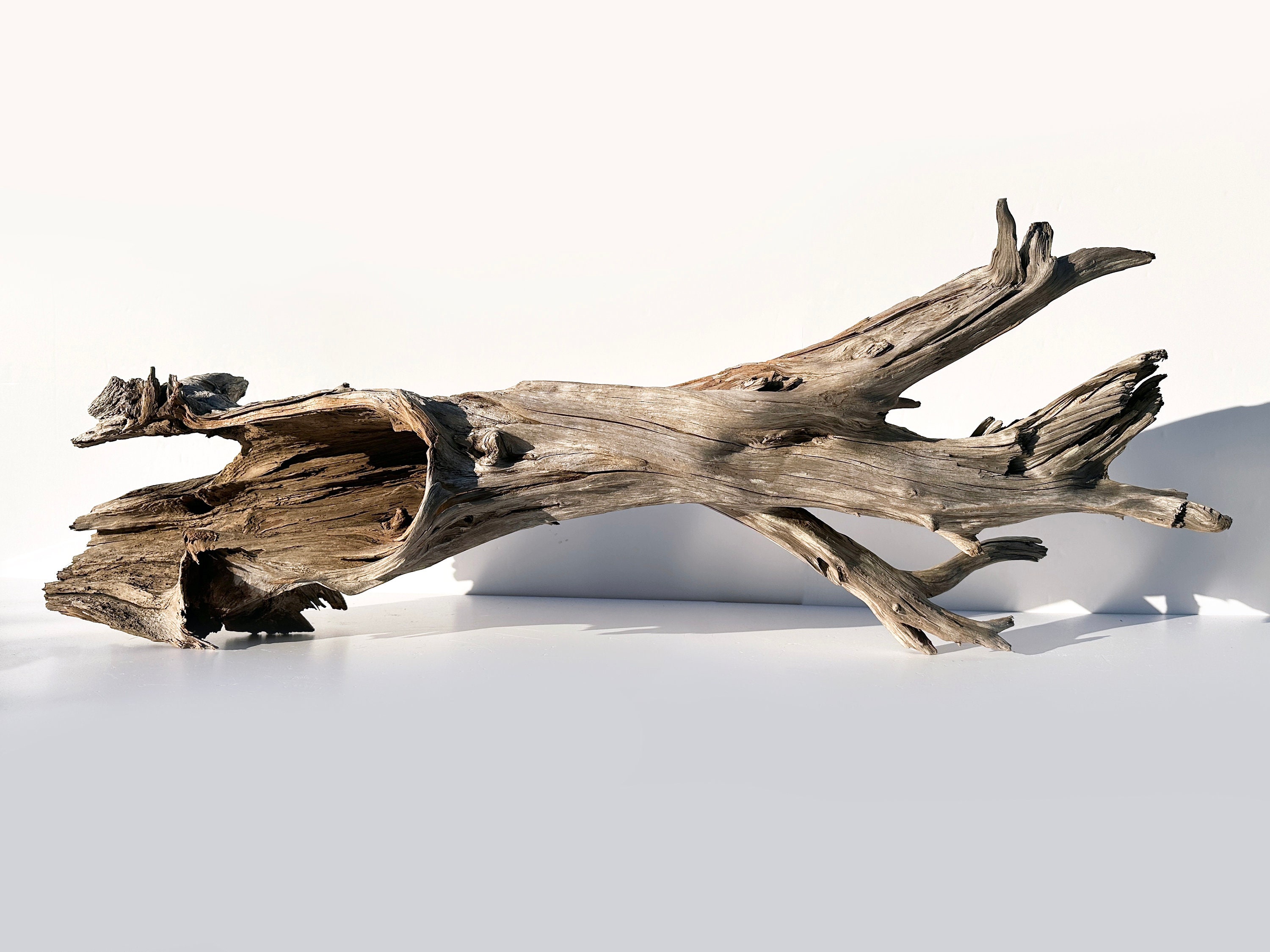 Extra Large Driftwood Sculpture, Wood Terrarium Reptile Hide, Garden ...