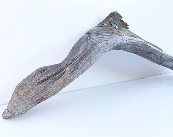 Extra Large Driftwood, Garden Wood Decor, Large Driftwood Sculpture ...