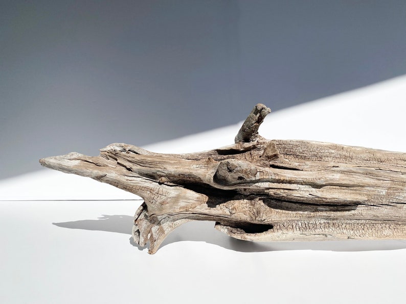 Extra Large Driftwood Garden Wood Decor Large Driftwood - Etsy