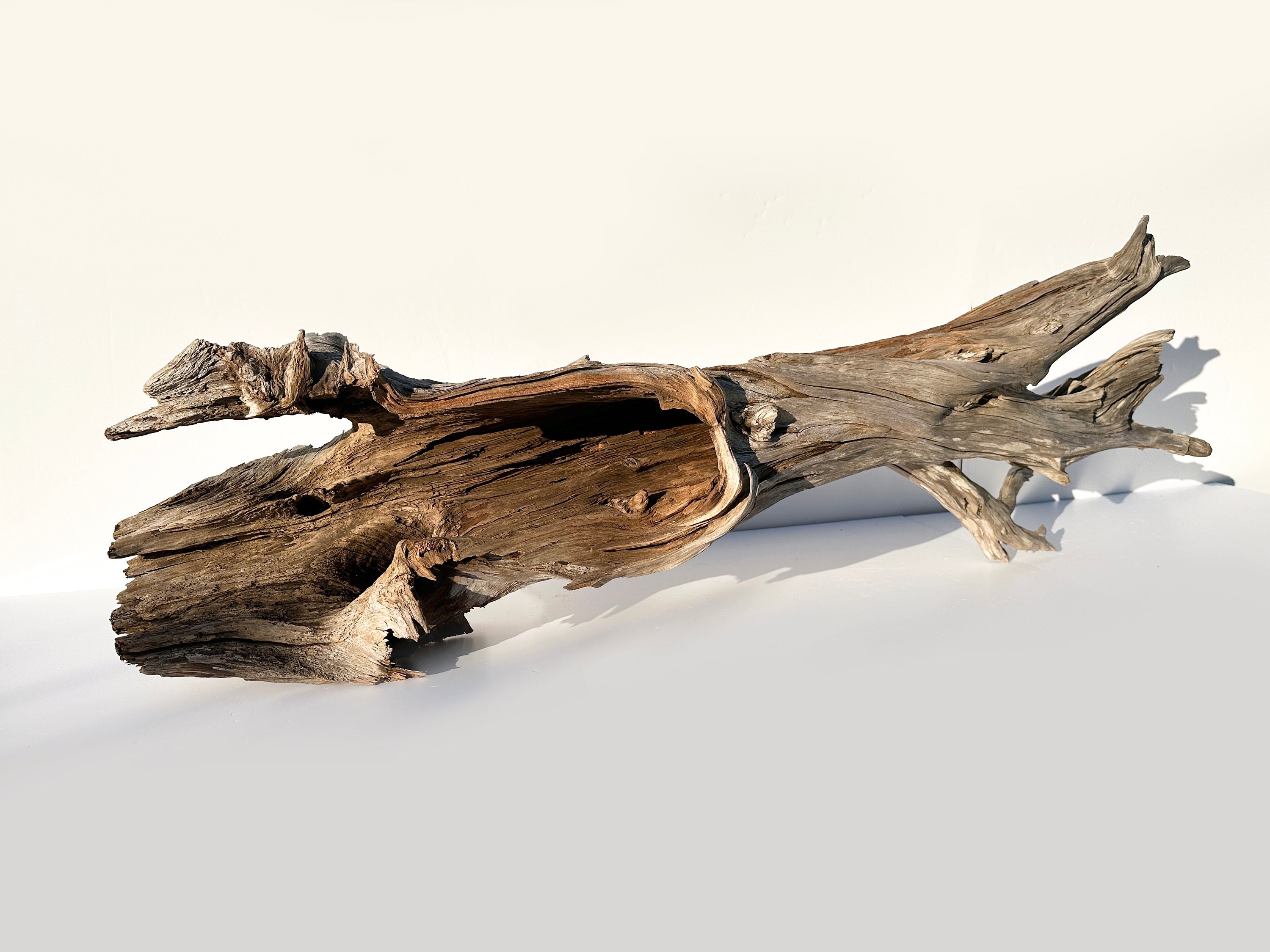 Extra Large Driftwood Sculpture, Wood Terrarium Reptile Hide, Garden ...